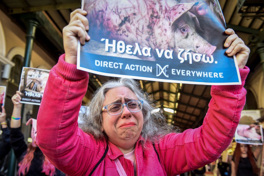 «Ντου» των vegan στην Βαρβάκειο | Photos | zarpanews.gr