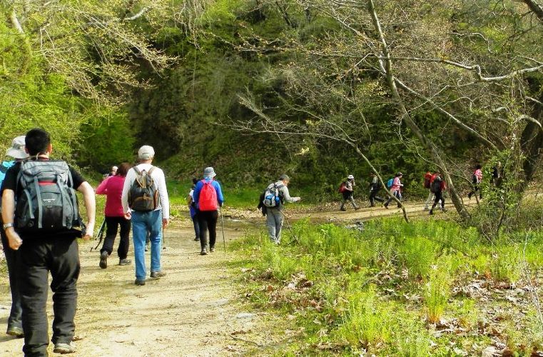 Μονοήμερη πεζοπορία για παιδιά από τον Ορειβατικό Σύλλογο Χανίων ...
