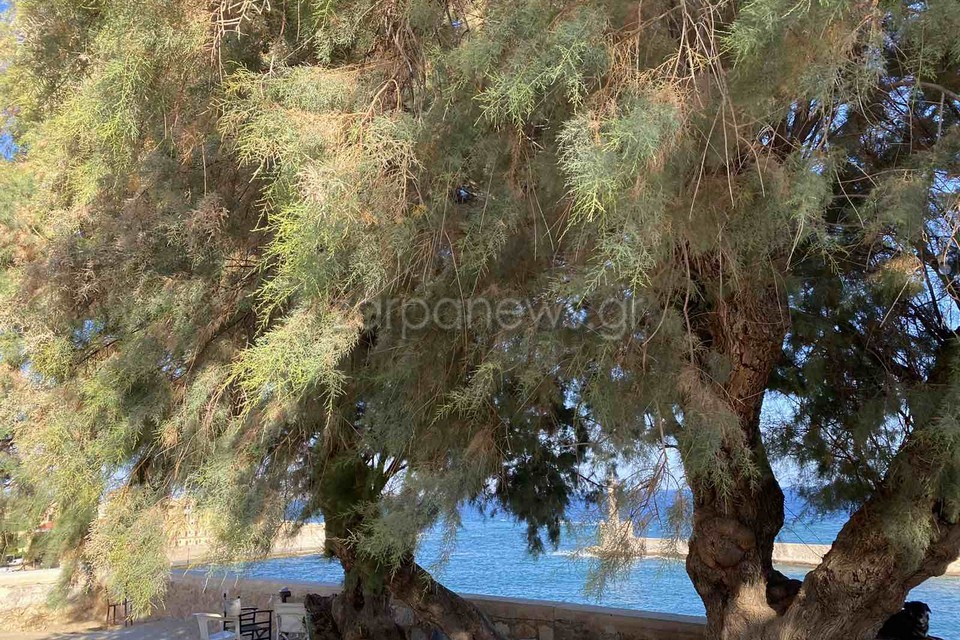 Χανιά | Άδειασε η κατάληψη της Ρόζα Νέρα | Video+photos | zarpanews.gr