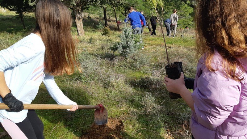 Χανιά | Εθελοντική δενδροφύτευση από το ΜΑΙΧ | zarpanews.gr