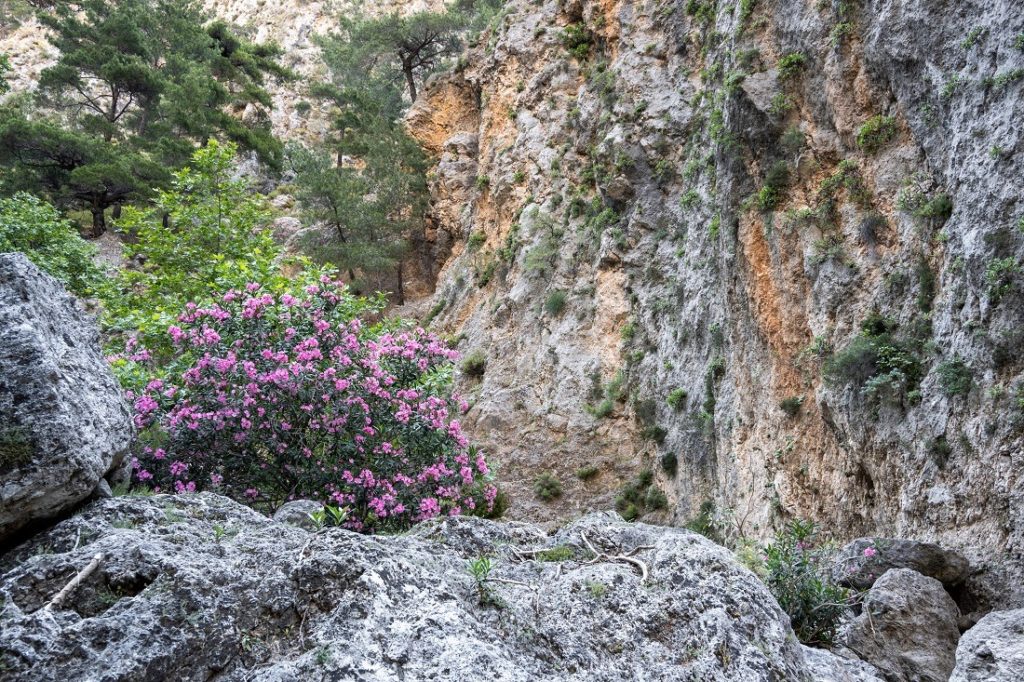 Ο Ορειβατικός Σύλλογος Χανίων γιορτάζει την Παγκόσμια Ημέρα Βουνού στο ...