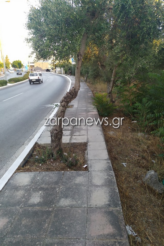 Χανιά | Γογονή – Κλαδισός σημειώσατε μηδέν! – Πεζοδρόμια “ιμιτασιόν ...