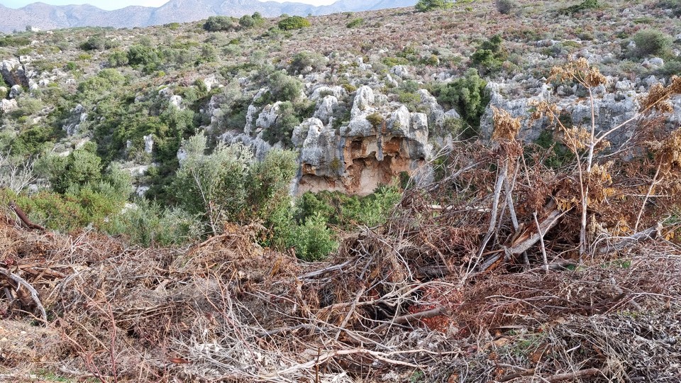Χανιά | Νέα παρέμβαση για καθαρισμό στον Καλαθά: “Απομακρύνετε τα ...