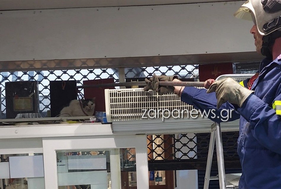 Χανιά | Πυροσβέστες έσωσαν φοβισμένη γατούλα – Είχε εγκλωβιστεί σε ...