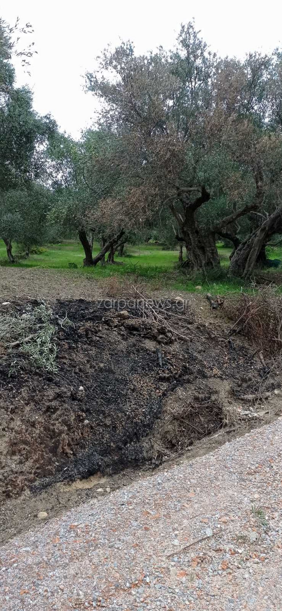 Χανιά | Νέες μέθοδοι καθαρισμού στον Αποκόρωνα – Έκαψαν σκουπίδια σε ...