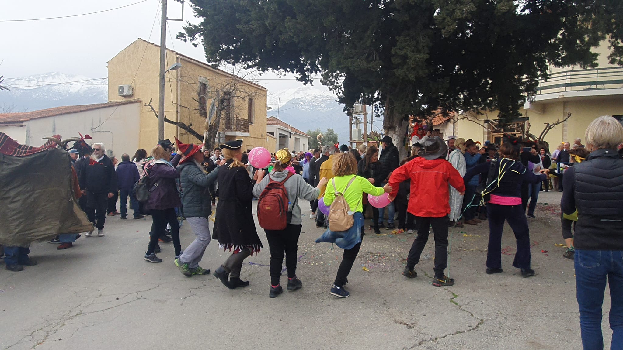 Χανιά | Η καμήλα… ξαναήρθε στην Κάινα – Το παραδοσιακό έθιμο ζωντάνεψε ...