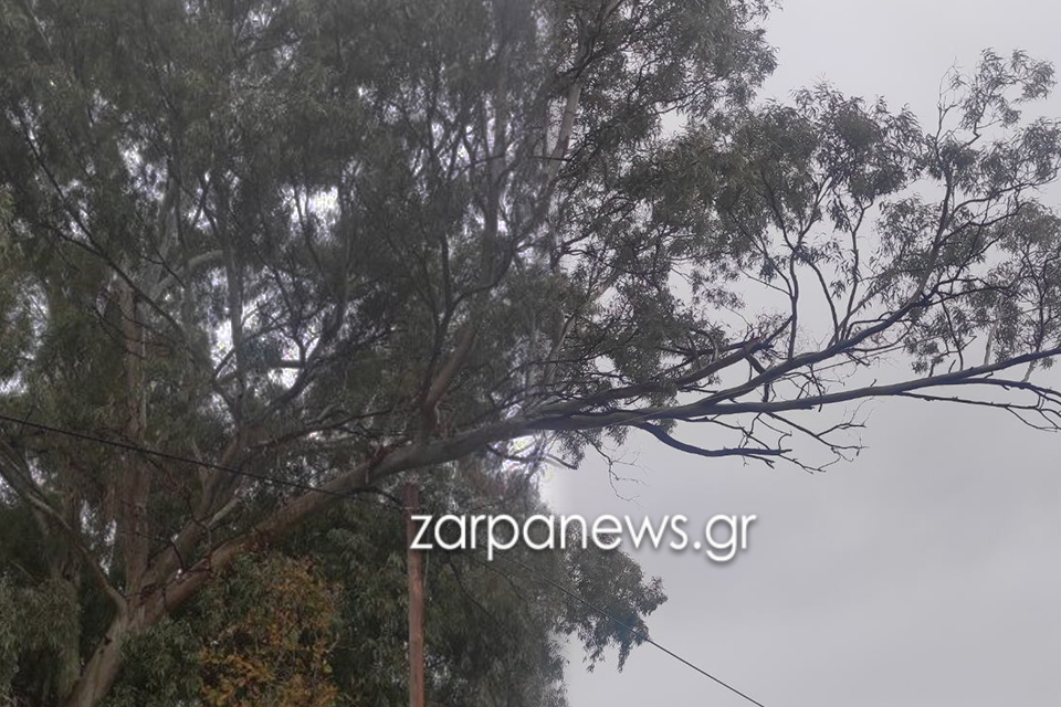 Χανιά | Κλαδί κρέμεται πάνω από δρόμο – Κάτοικοι φοβούνται πως θα ...