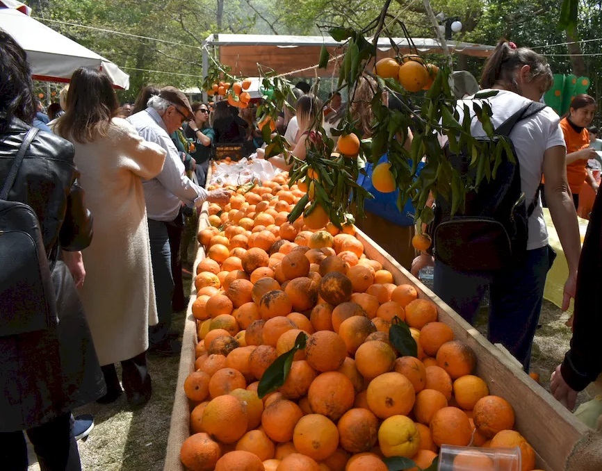 Κρήτη | Πάνω από 4.000 κόσμος στην 8η Γιορτή Πορτοκαλιού στο Φόδελε ...