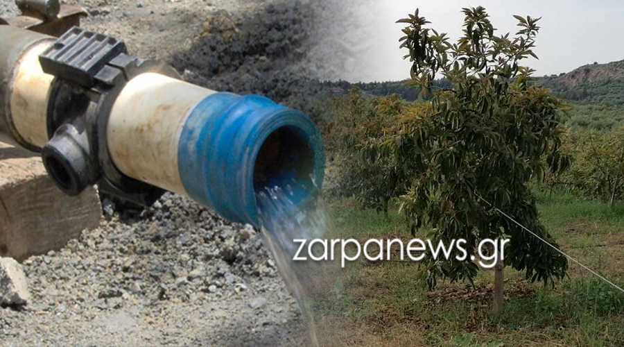 Χανιά | Κινδυνεύουν τα αβοκάντο σε χωριό του Αποκόρωνα – Χωρίς νερό ...