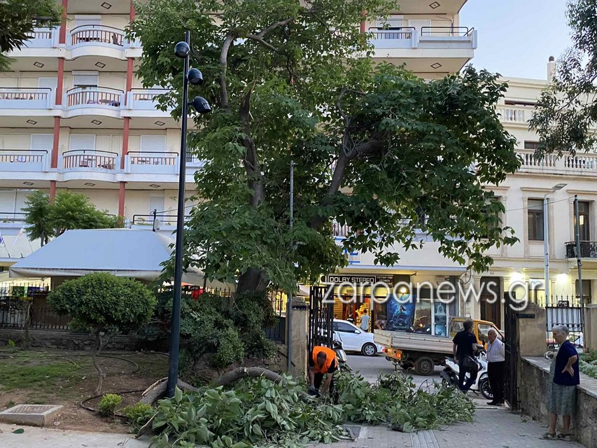 Έσπασε μεγάλο κλαδί δέντρου στον Δημοτικό Κήπο Χανίων – «Ακούσαμε έναν ...