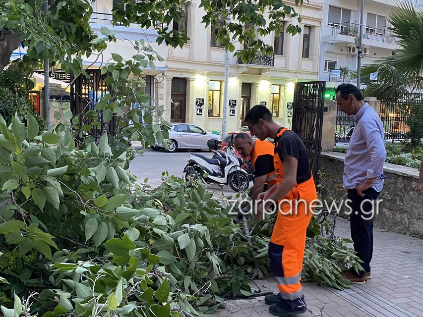 Έσπασε μεγάλο κλαδί δέντρου στον Δημοτικό Κήπο Χανίων – «Ακούσαμε έναν ...