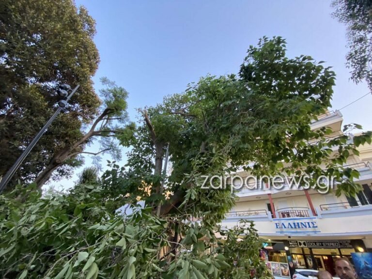 Έσπασε μεγάλο κλαδί δέντρου στον Δημοτικό Κήπο Χανίων – «Ακούσαμε έναν ...
