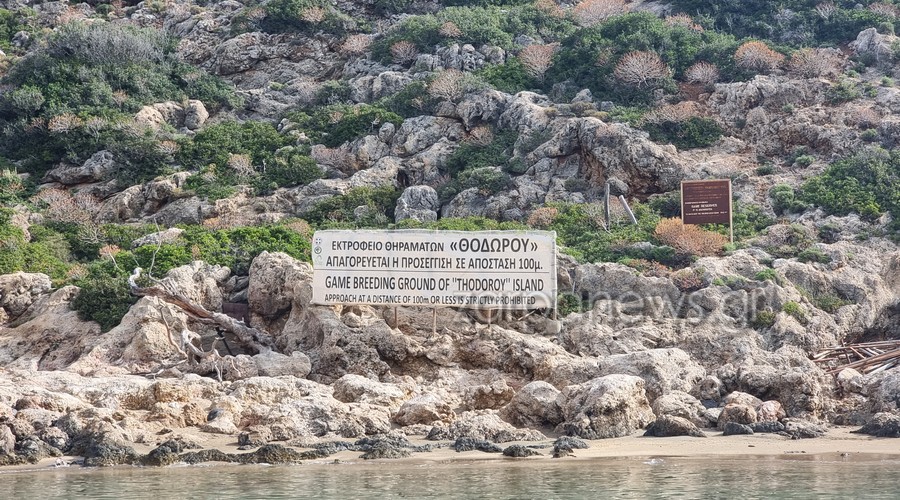 “Να μείνουν προστατευμένα τα Θοδωρού με τα κρι-κρι” – Τι δήλωσαν ...