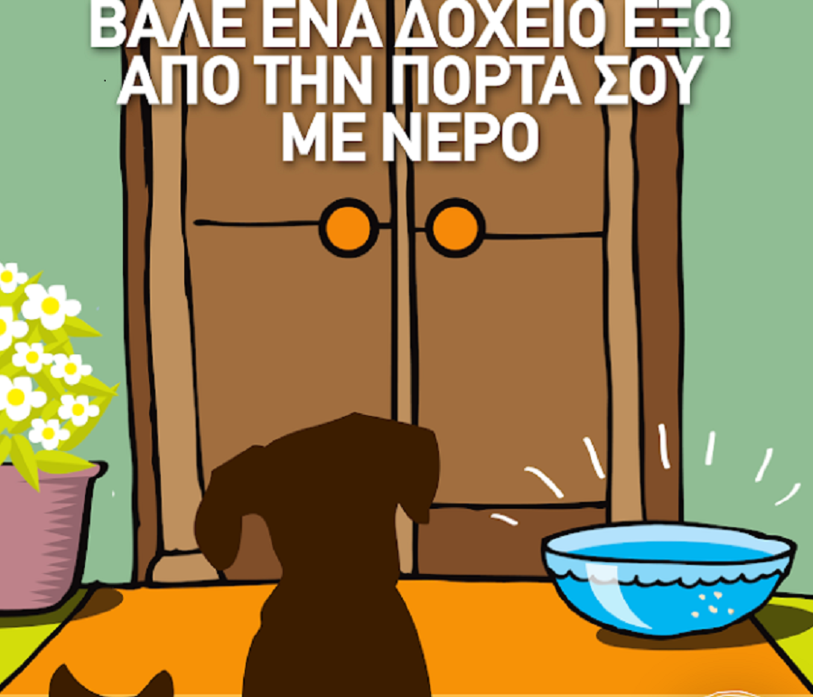 Έκκληση από τον Δήμο Χανίων για νερό στα αδέσποτα τις ημέρες του ...