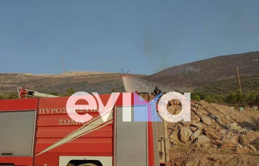 Φωτιά στο Αλιβέρι: Καλύτερη η εικόνα χάρη στα εναέρια – Συνελήφθη ...