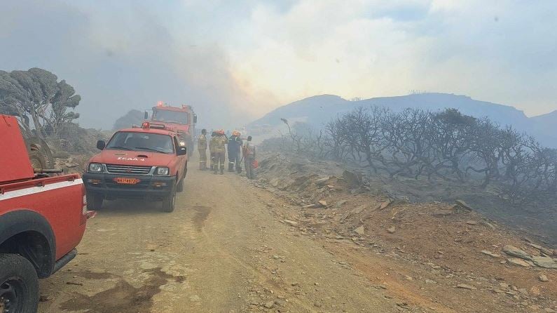 Μάχη με δύο πύρινα μέτωπα στην Άνδρο – Ισχυροί άνεμοι στην περιοχή ...