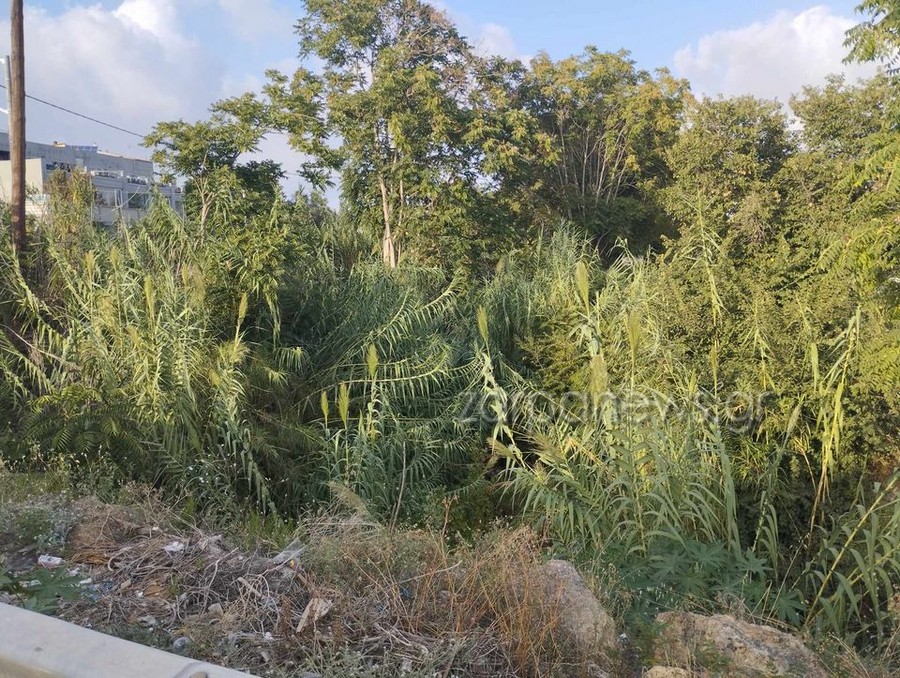 Χανιά | Ζητούν βελτίωση στην παιδική χαρά και καθαρισμό της κοίτης στο ...