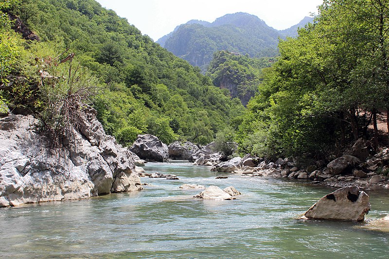 Προστατευόμενη περιοχή ο Αώος – Το μόνο ελληνικό ποτάμι που ρέει ...