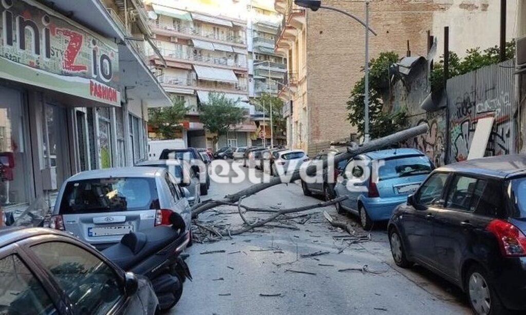 Θεσσαλονίκη: Πέφτουν δέντρα από τους ισχυρούς ανέμους – Φθορές σε ...