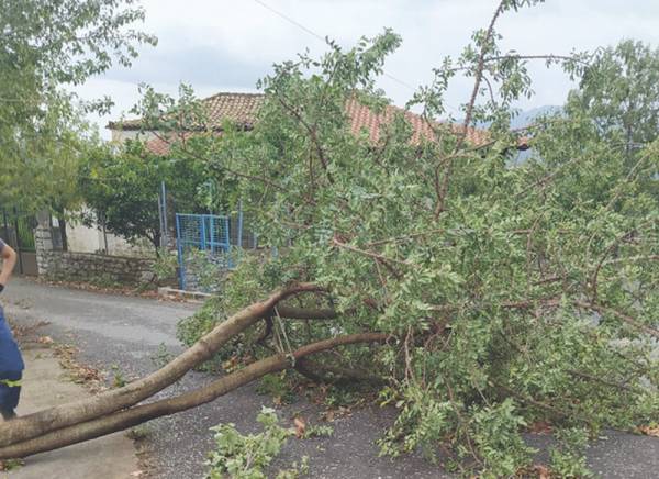 Χανιά | Αναγγελία ζημιάς από ανεμοθύελλα στη Δ.Ε Θερίσου – Μέχρι πότε ...