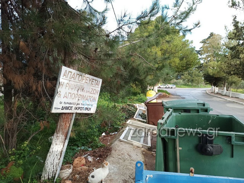 Χανιά | Σκουπίδια έξω από τους κάδους, πορτοπαράθυρα και ό,τι άλλο θες ...