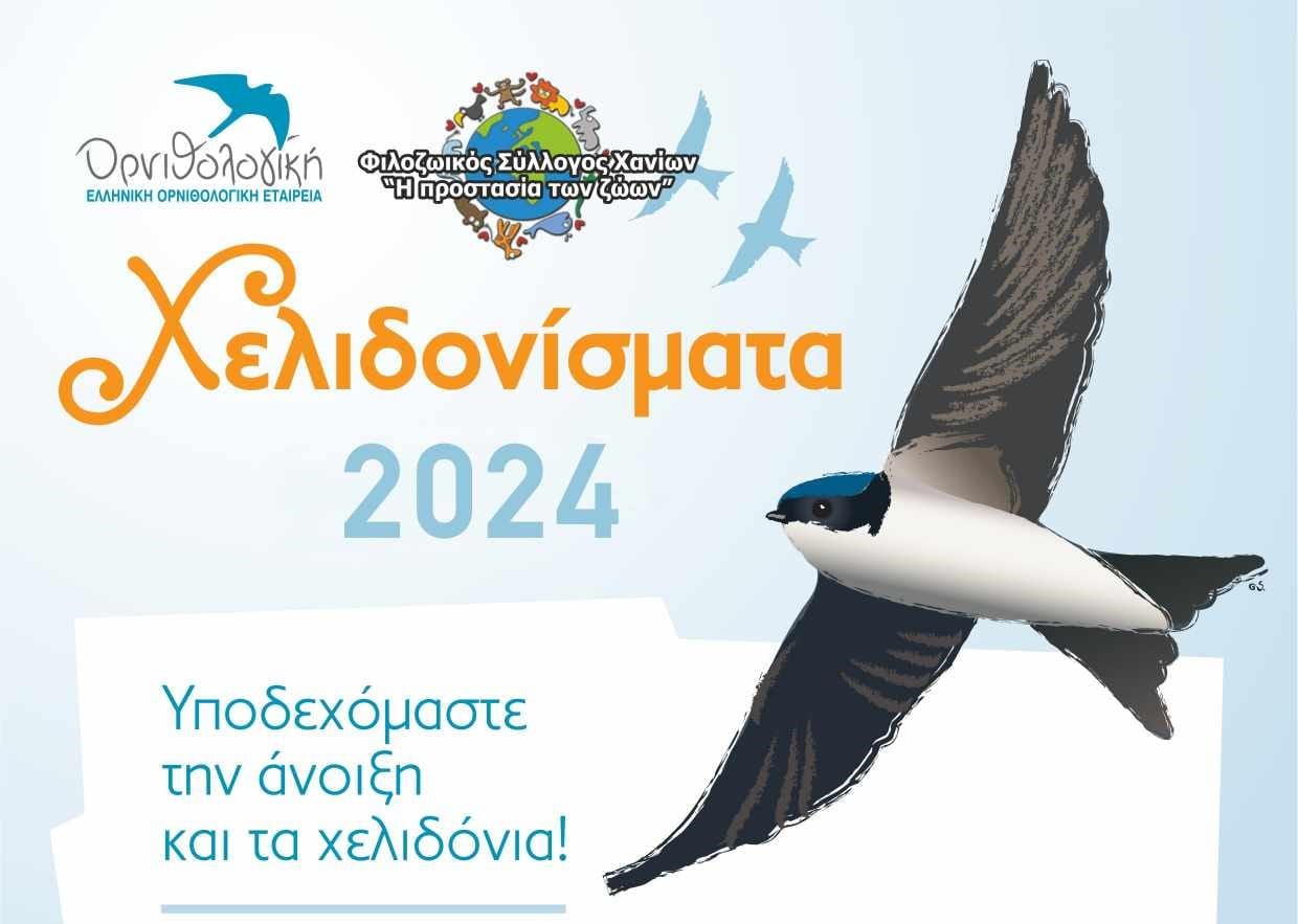 Υποδεχόμαστε την άνοιξη και τα χελιδόνια στα Χανιά – Δράση για παιδιά ...