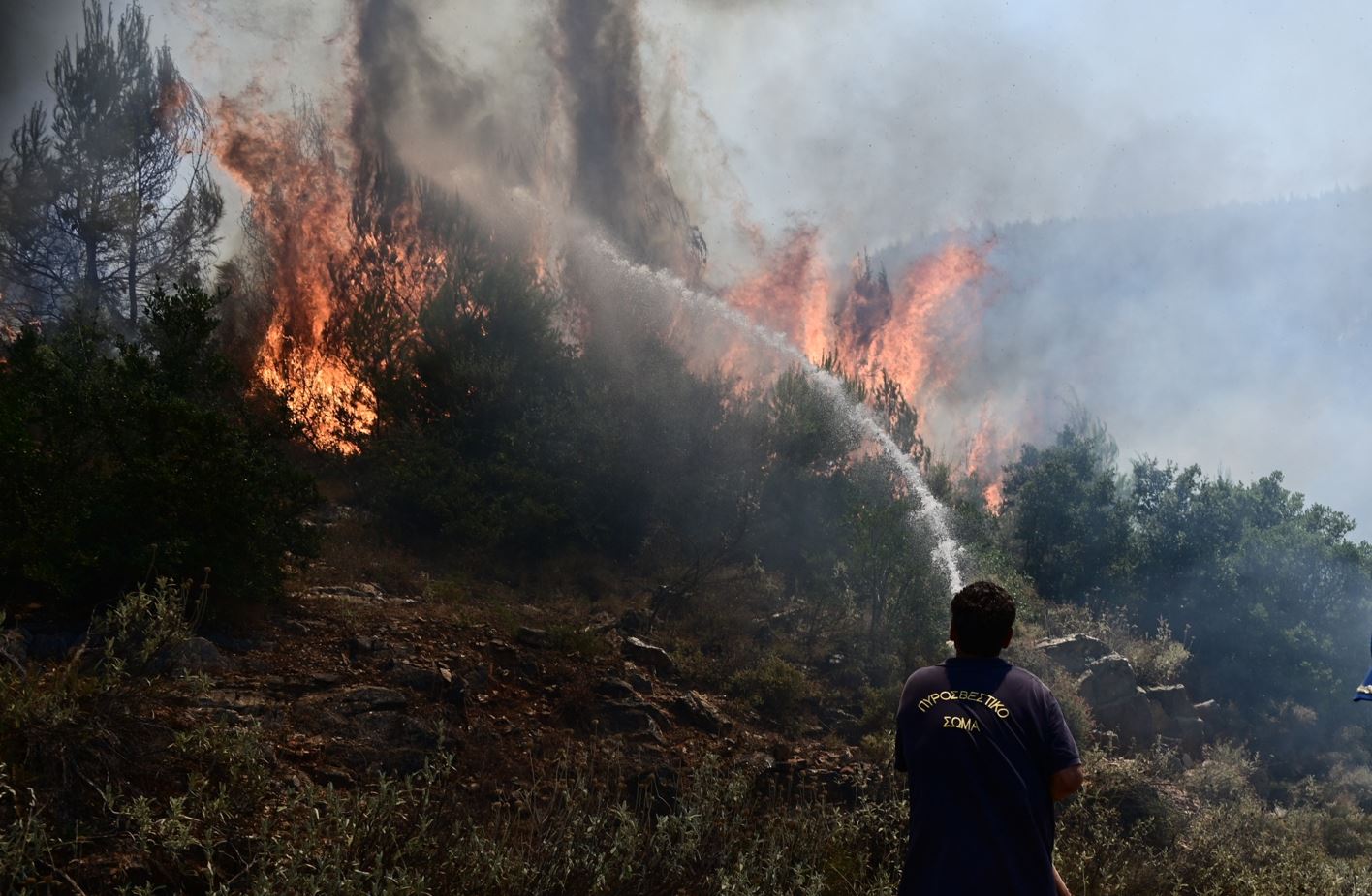 Κρήτη | Στην ζώνη υψηλού κινδύνου πυρκαγιών λόγω ξηρασίας αυτό το ...