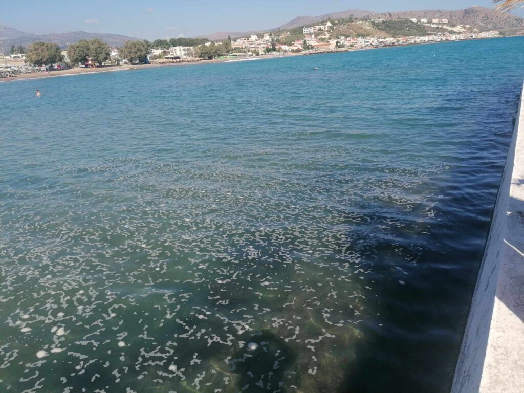 Χανιά | Εικόνες ντροπής με λύματα μέσα στη θάλασσα δυσφημούν τις ...