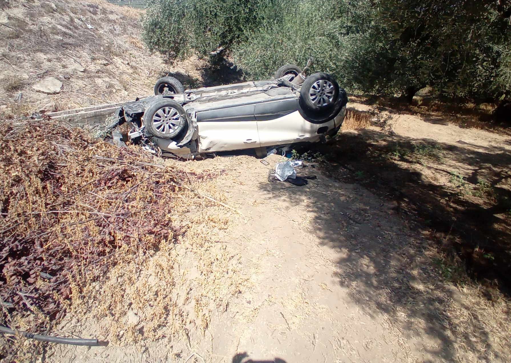 Κι άλλο τροχαίο στα Χανιά – Τούμπαρε αυτοκίνητο σε χωράφι με ελιές ...