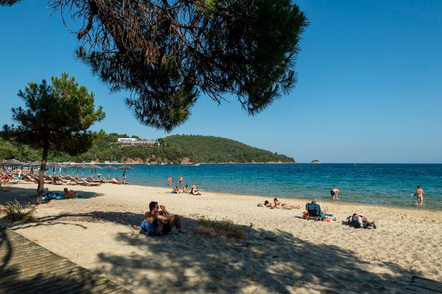 7 παραλίες στην Ελλάδα με καταπράσινο φόντο – Πεύκα που βουτάνε στη ...