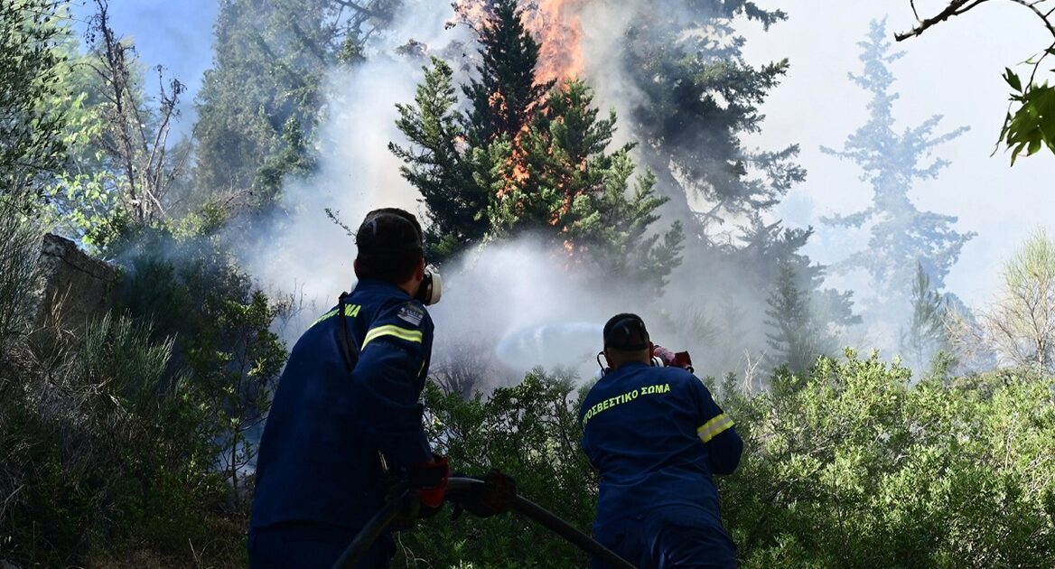 Η 44χρονη που συνελήφθη για εμπρησμό, έβαζε φωτιές γιατί της «άρεσε να ...