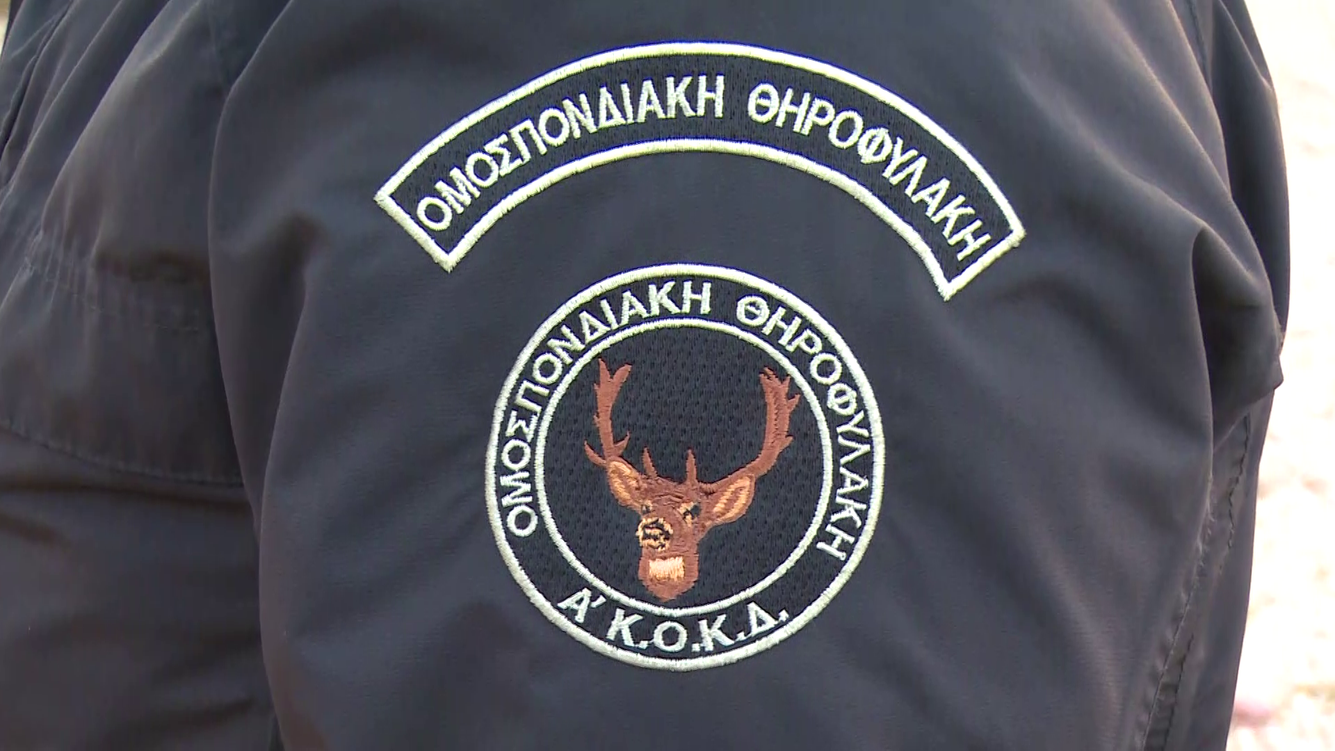 Γεμάτο κυνηγετικό όπλο στο αυτοκίνητο εκτός θήκης: Πρόστιμο και ...
