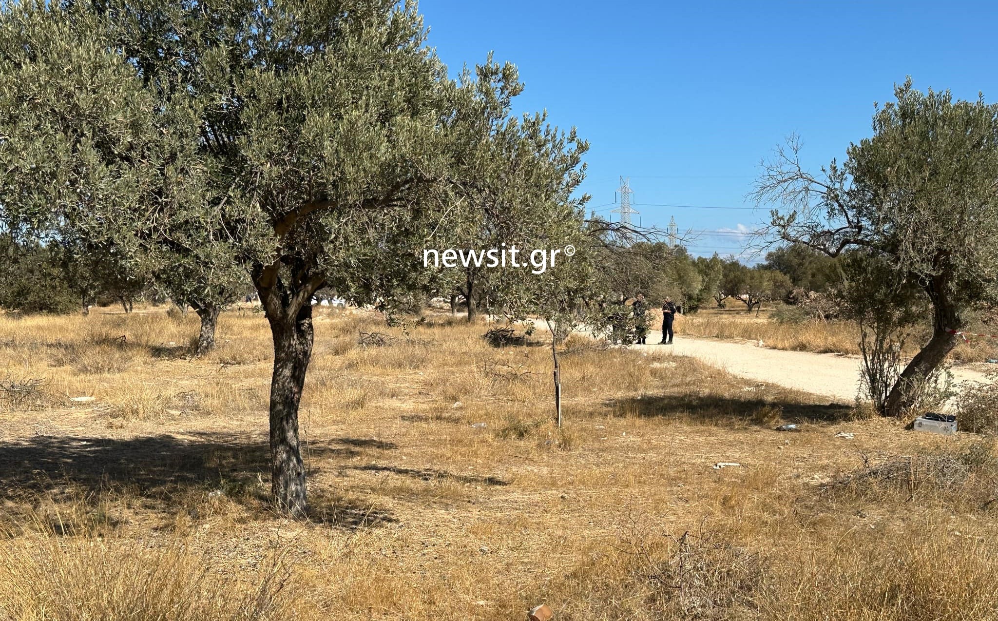 Μαρκόπουλο: Θύμα βεντέτας δύο οικογενειών το τρίχρονο παιδί που ...