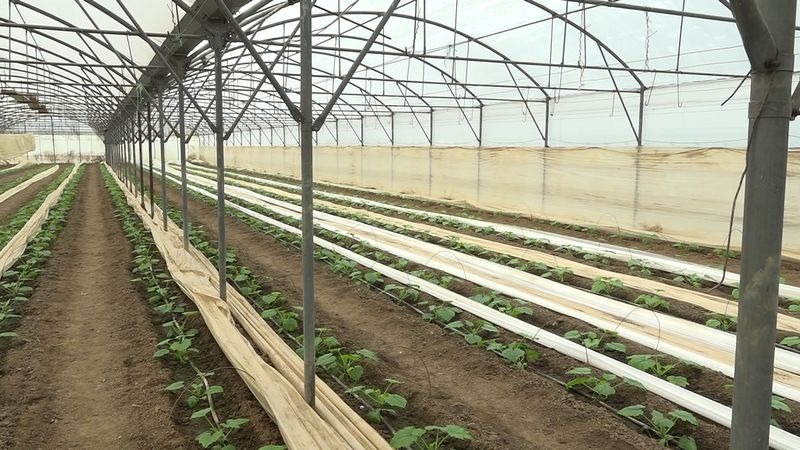 Κρήτη | Aιτήσεις για το πρόγραμμα «Επενδύσεις για τον εκσυγχρονισμό και ...