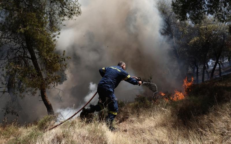 Χανιά | Φωτιά στα Σφακιά: Μάχη με διάσπαρτες εστίες δίνουν οι ...