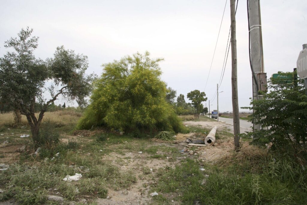 Καθαρισμός οικοπέδων 2025: Πότε πρέπει να γίνει με δήλωση | zarpanews.gr