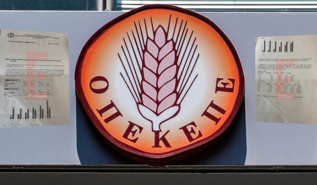 Έγγραφο – ντοκουμέντο: Από το 2021 γνώριζαν στον ΟΠΕΚΕΠΕ το «θαύμα της ...